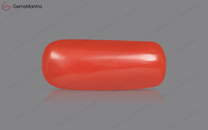 Buy Pavalam Gemstone Online at Best Price