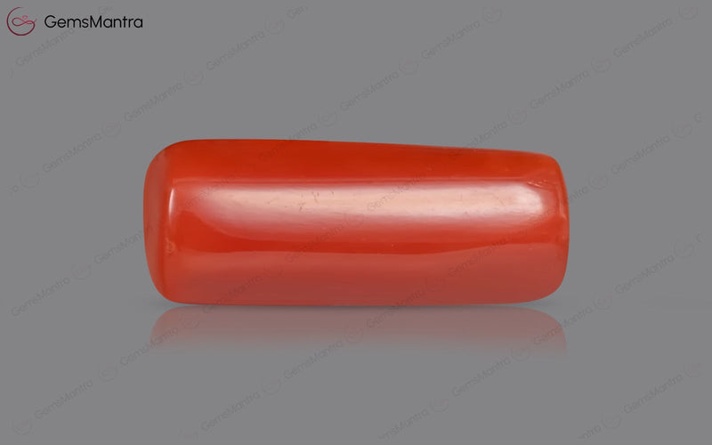 Buy Pavalam Gemstone Online at Best Price