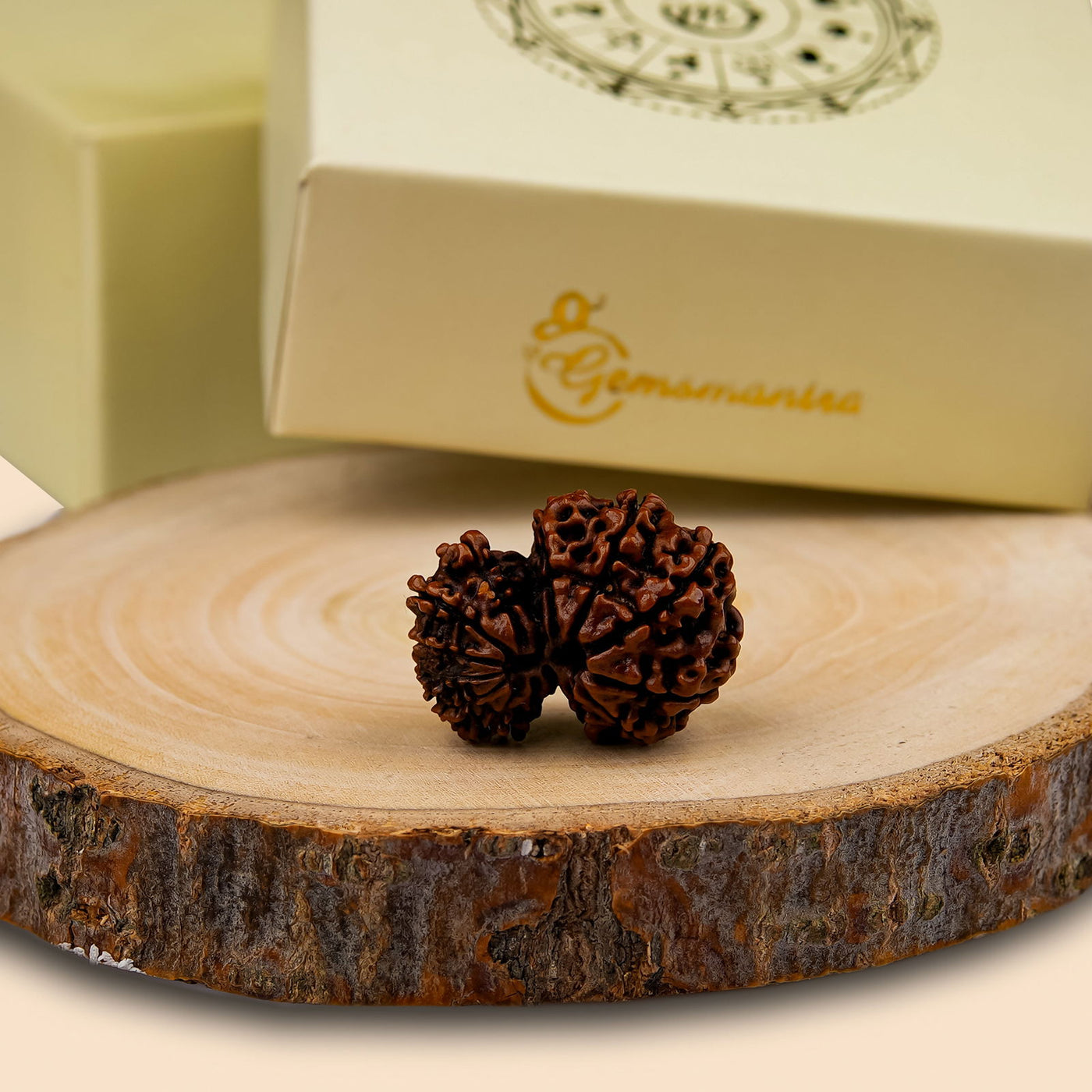 Buy Garbh Gauri Shankar Rudraksha Online at Best Price