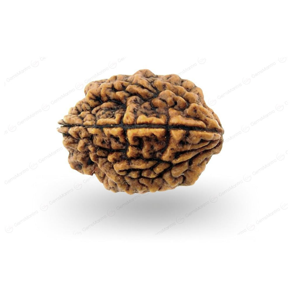 Missing Pattern Remedies Combo 9=5=1