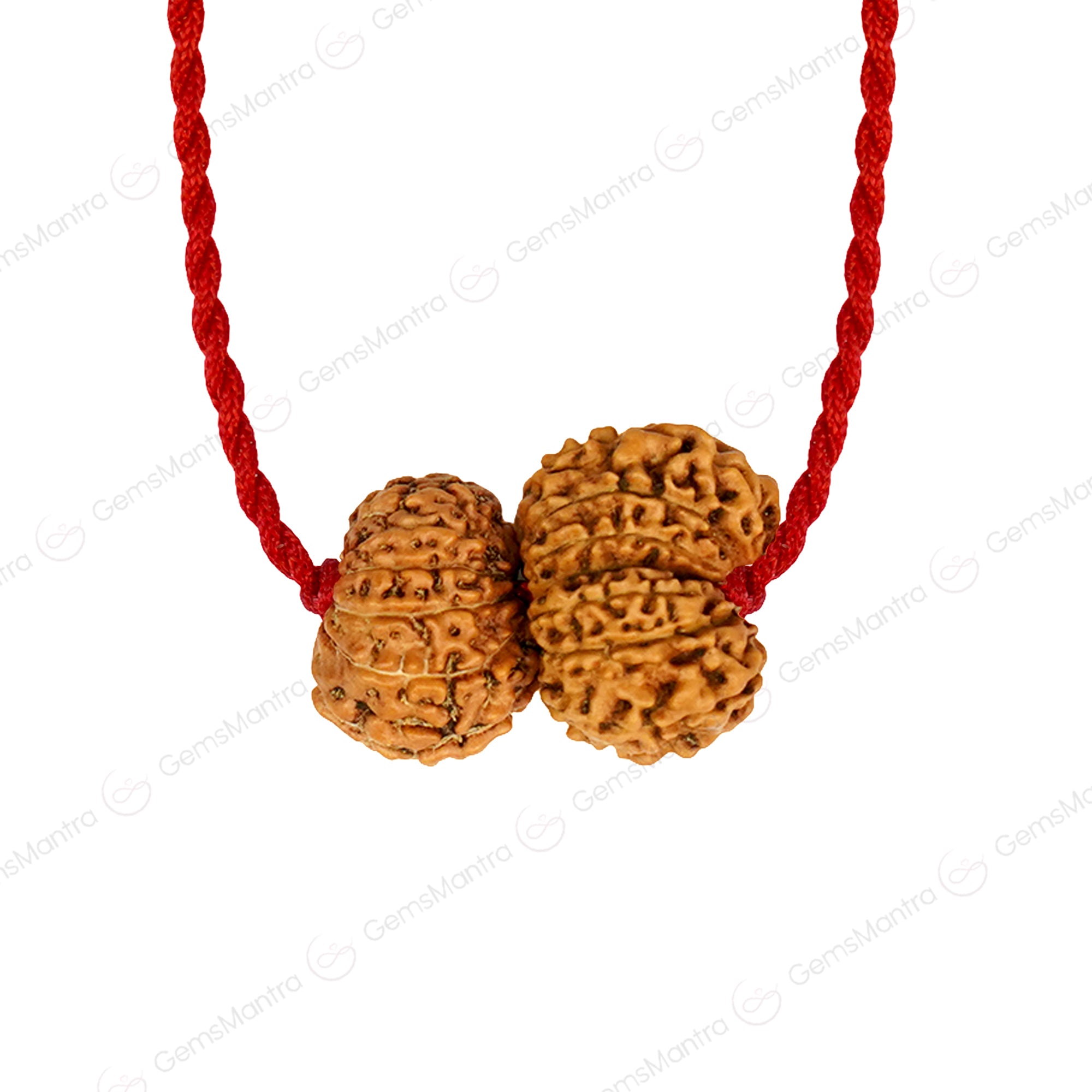 Shukra–Shani Kavach – 13 & 14 Mukhi Rudraksha Combo